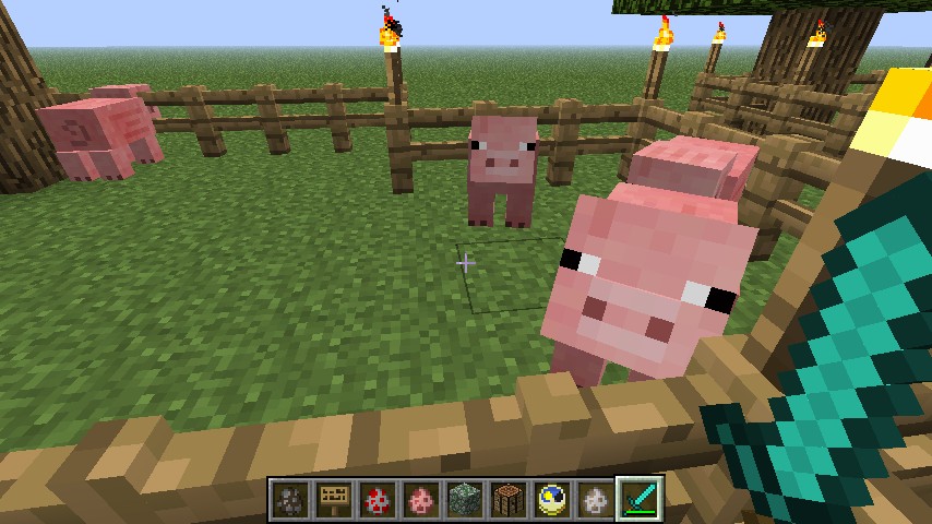 Animal farm w/Babie animals (cows, pig's, and chickens) Minecraft Map