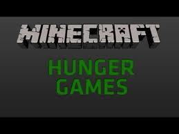 Why All the Hunger Game Servers? [Rant]