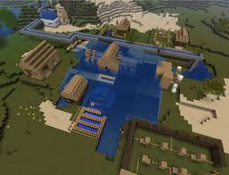 village thing Minecraft Map