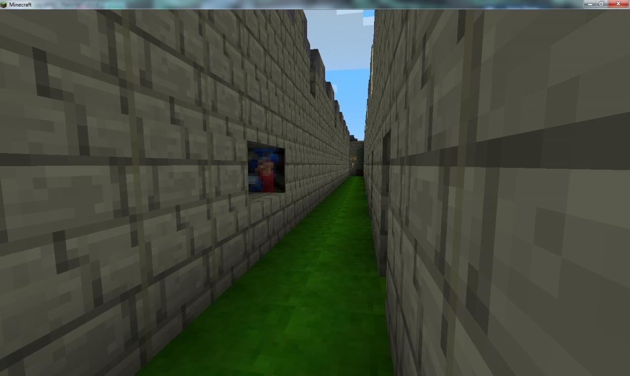 The Labyrinth Minecraft Map