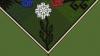 Bouquet Minecraft Map