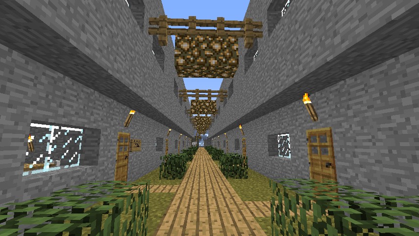 Humanity Craft Minecraft Server