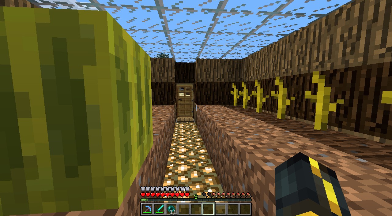 cool world NPC/ Minecraft Map