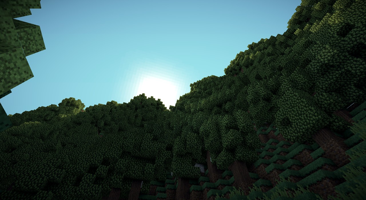 total wildness (random terrain) Minecraft Map