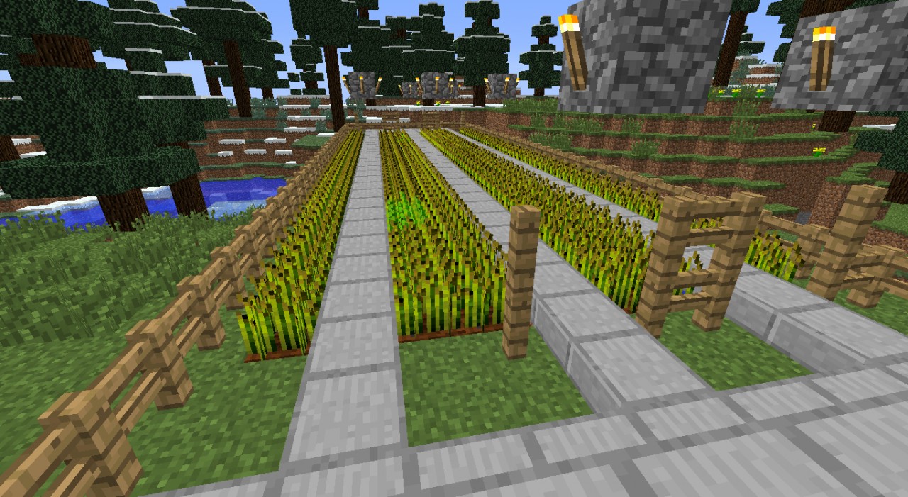 My Little House and Xp farm Minecraft Map