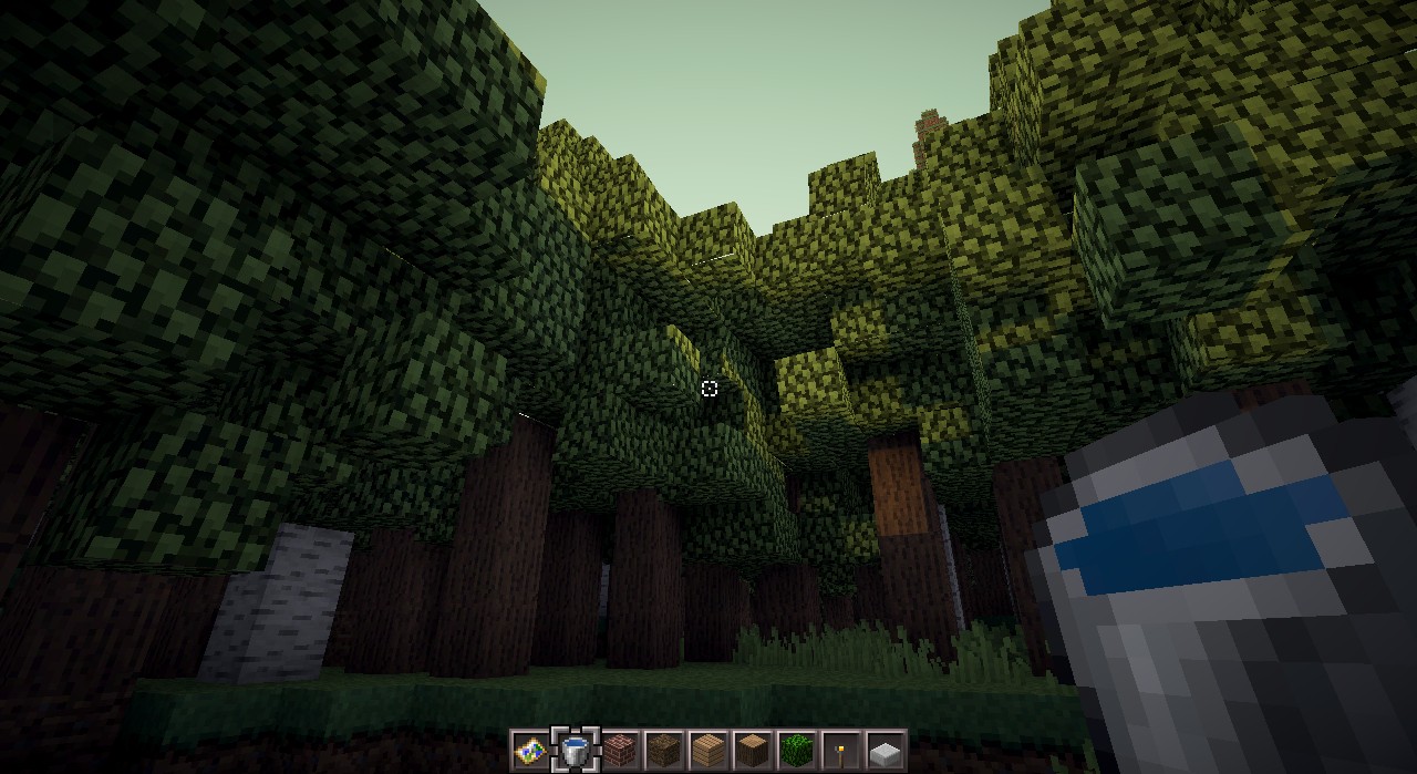 total wildness (random terrain) Minecraft Map