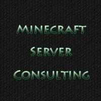 Minecraft Server Consulting