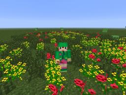 rick roll XD Minecraft Map