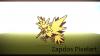 Zapdos [Silver version] Pixelart Minecraft Map