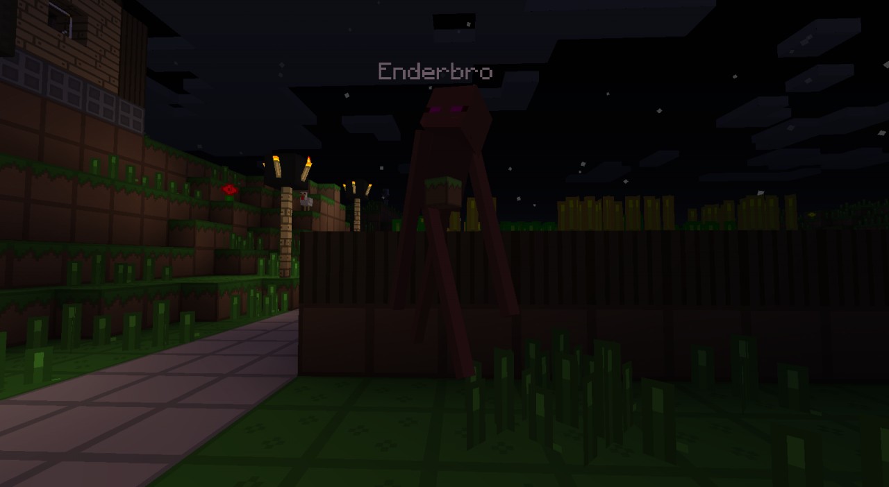 Fumetti Minecraft Enderbro