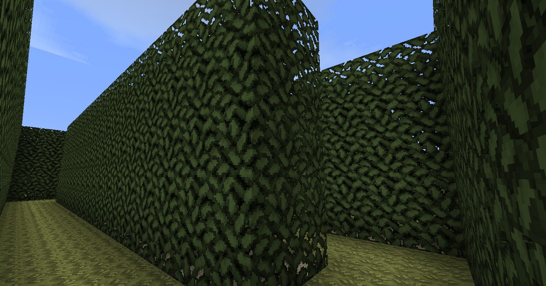 Small Hedge Maze Minecraft Map