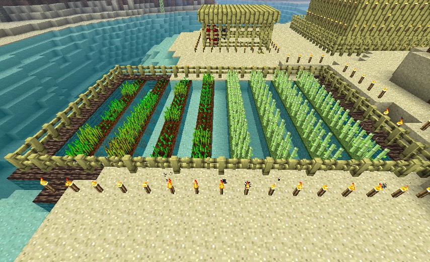 Tropical House Minecraft Project