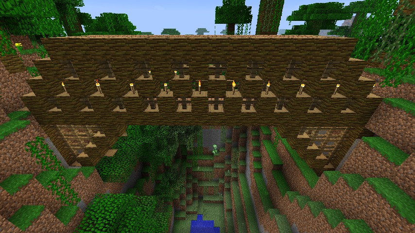 jungle bridge Minecraft Map