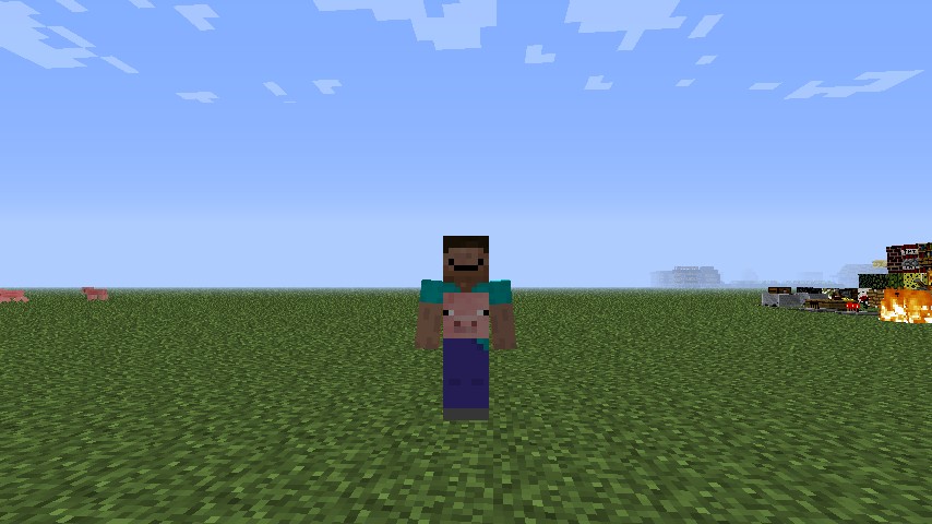 Supah's Derp Pack Minecraft Texture Pack