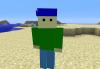 Partners Mod Minecraft Mod