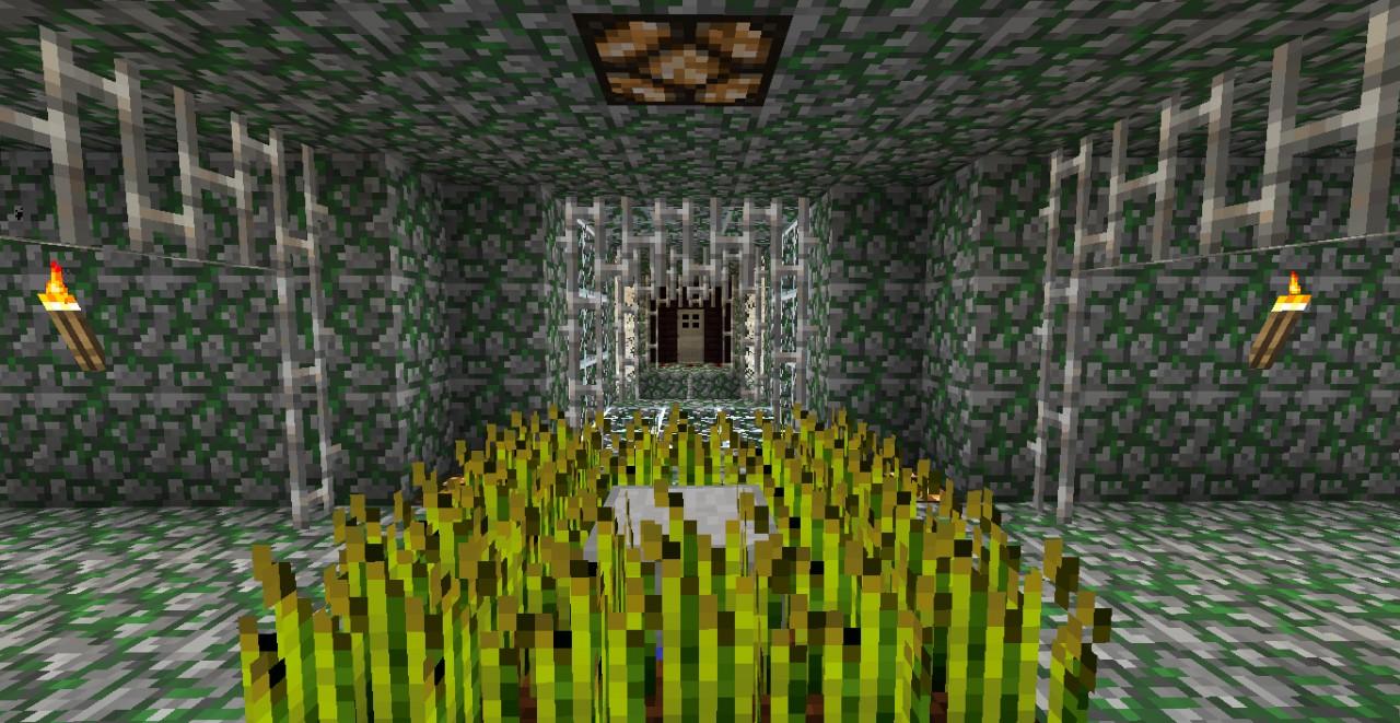 Mega dungeon Minecraft Map