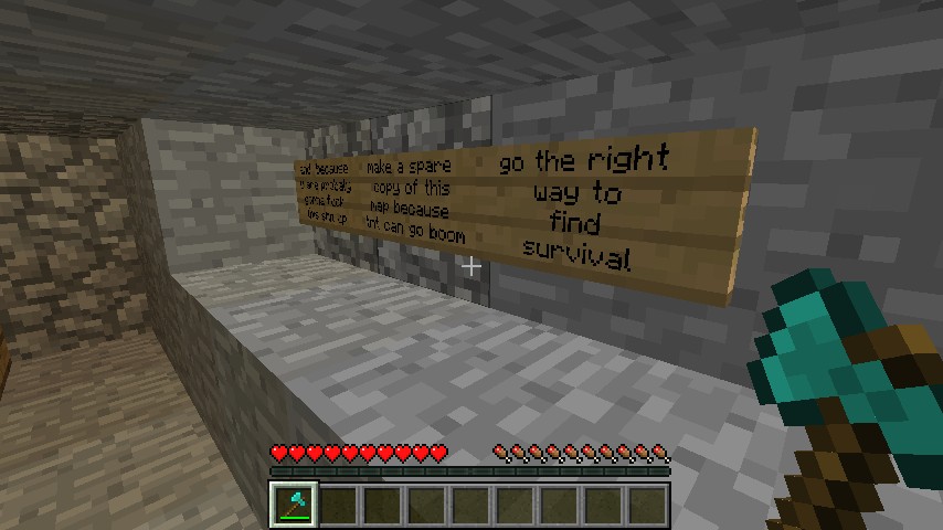 Puzzle Minecraft Map