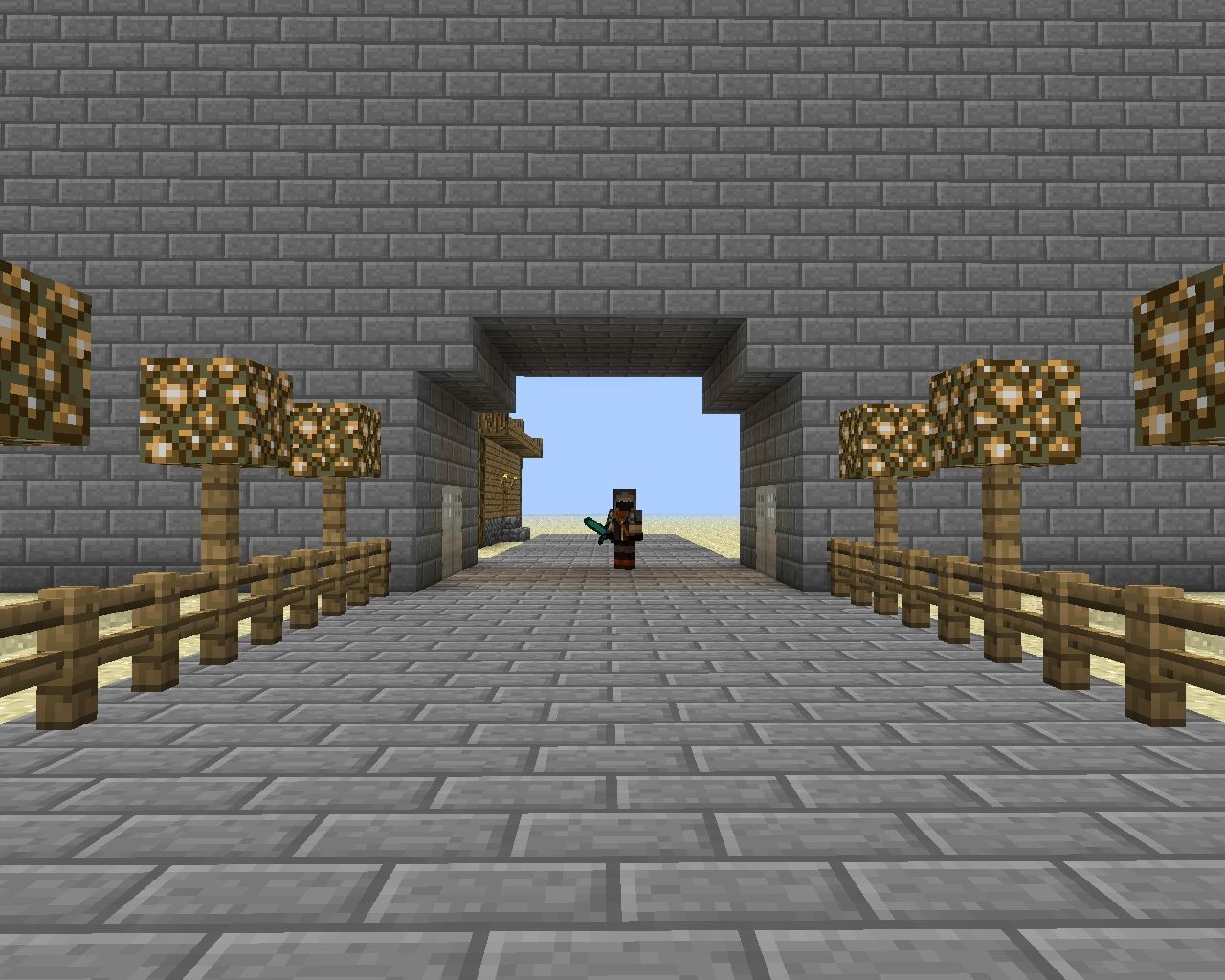 The Town Minecraft Map