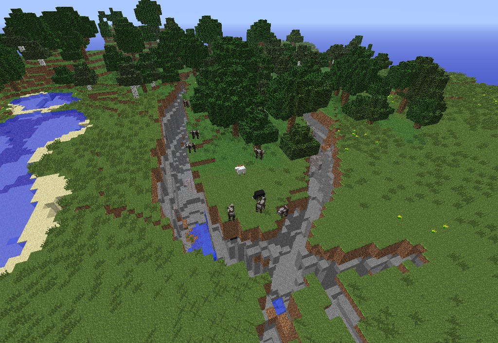Really Cool Ravine! Minecraft Map