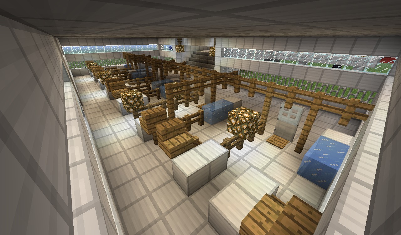 The City of Ren Minecraft Map