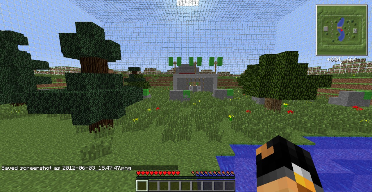 capture the flag Minecraft Map