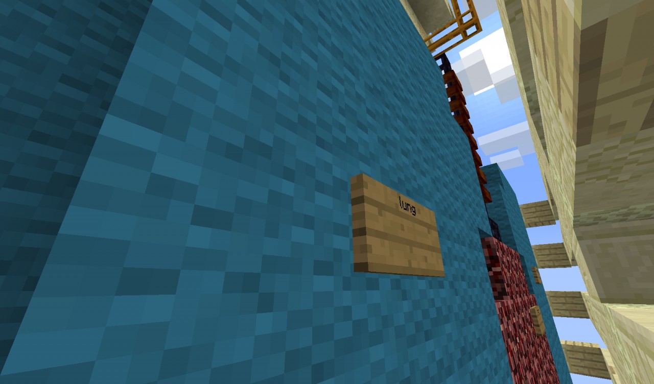 human anatomy in minecraft Minecraft Map