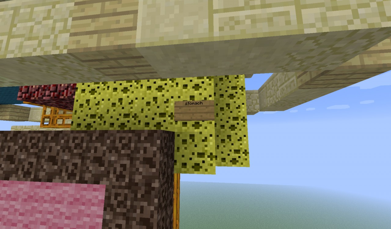 human anatomy in minecraft Minecraft Map