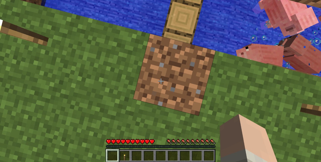 flatland survival Minecraft Map