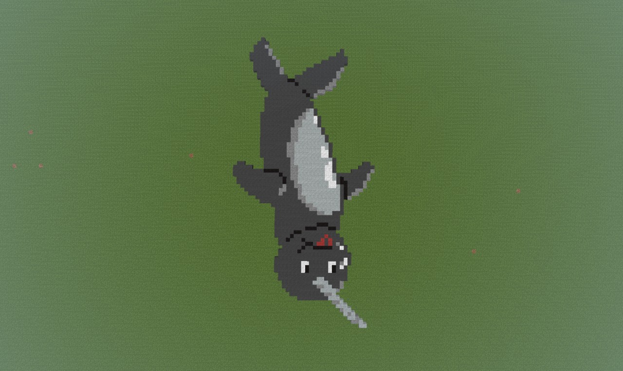 Derpy Narwhal Minecraft Map