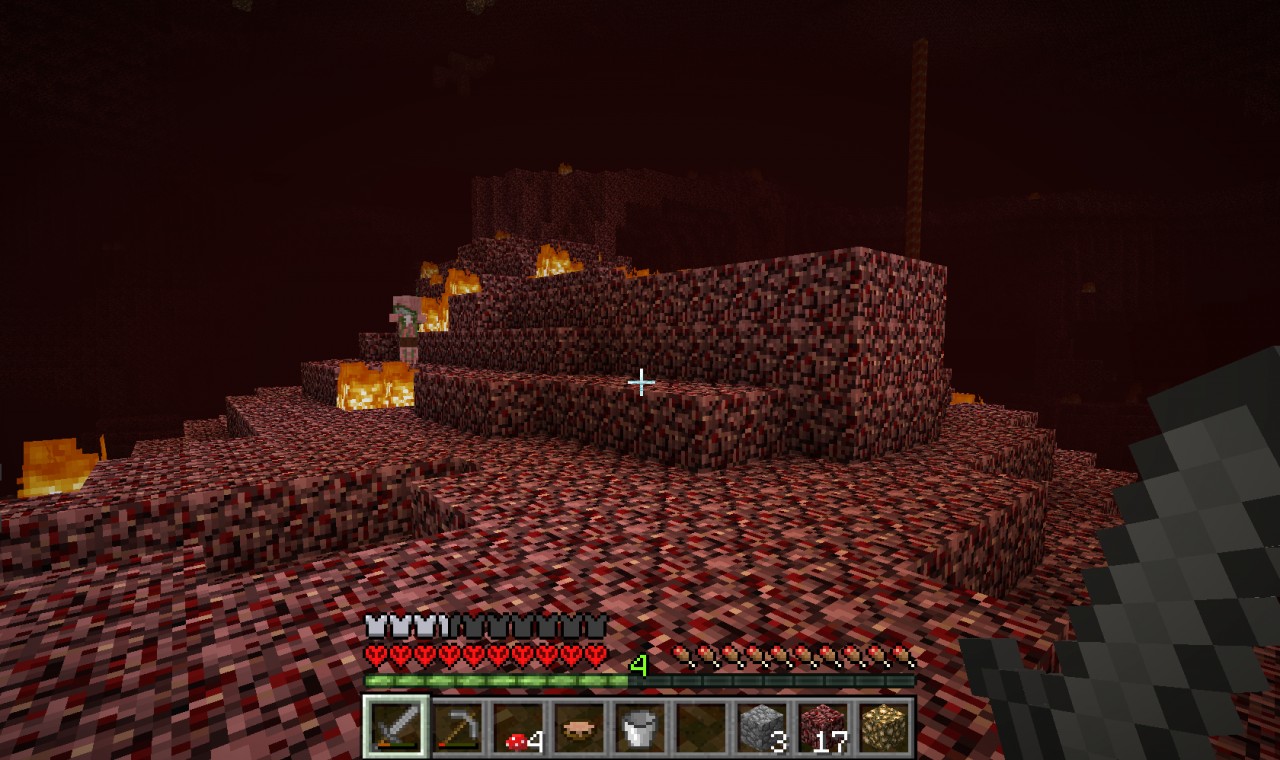 Nether survival- a challenge Minecraft Map