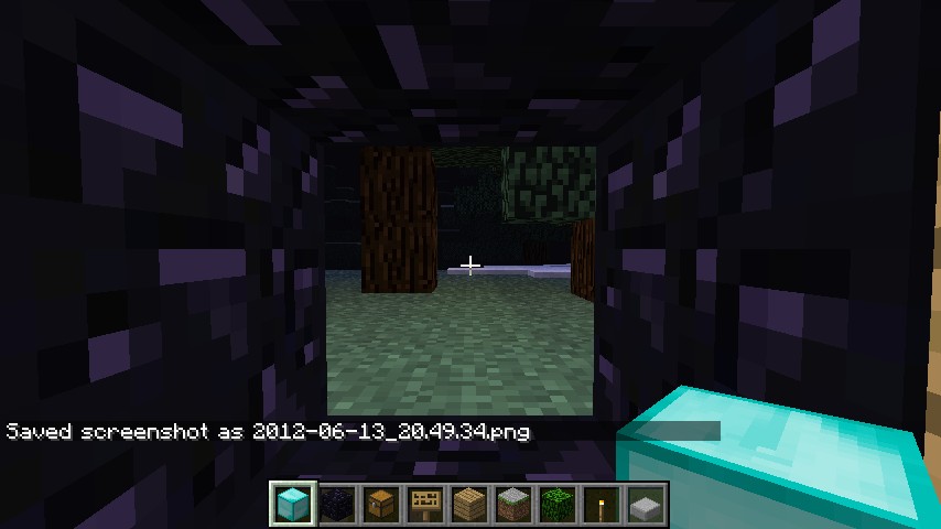SURVIVAL in the Obsidian room! Minecraft Map