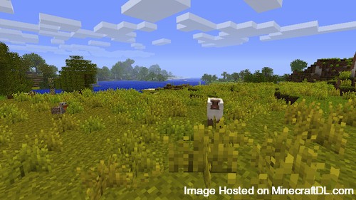 Territorial Terrains Minecraft Server