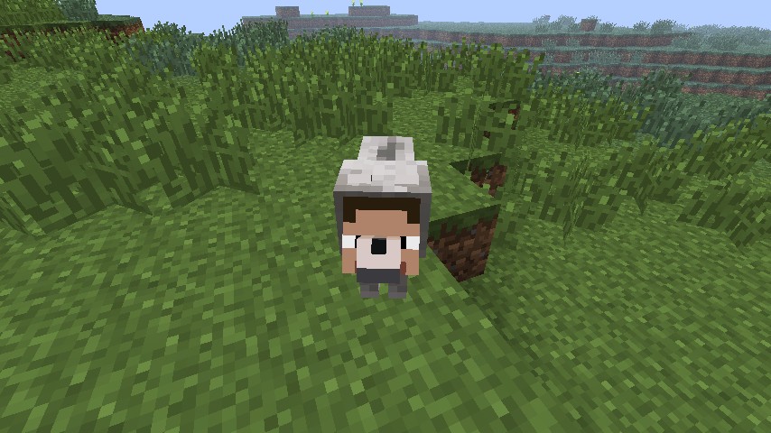 Steve's Head Texture Pack Minecraft Texture Pack