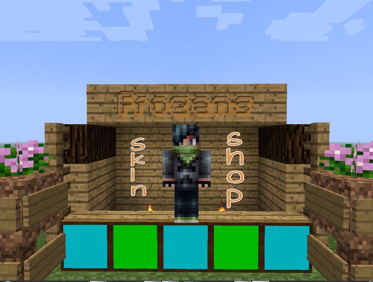 Frozen's Skin Shop Minecraft Map