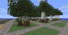 Tree farm Minecraft Map
