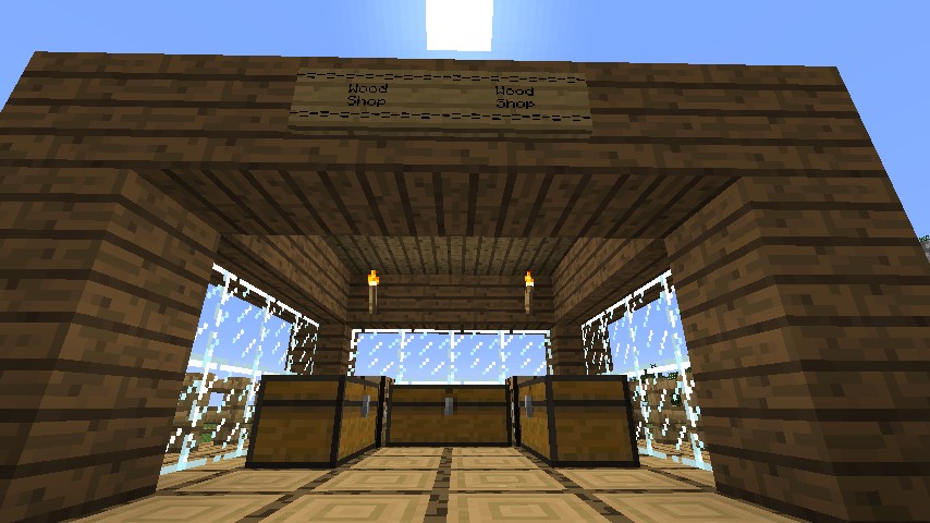 Epicmuffin848's Town! Minecraft Map