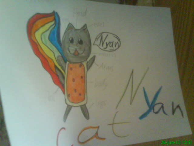 My Nyan Cat! [My first] (sorry for the bad quality)
