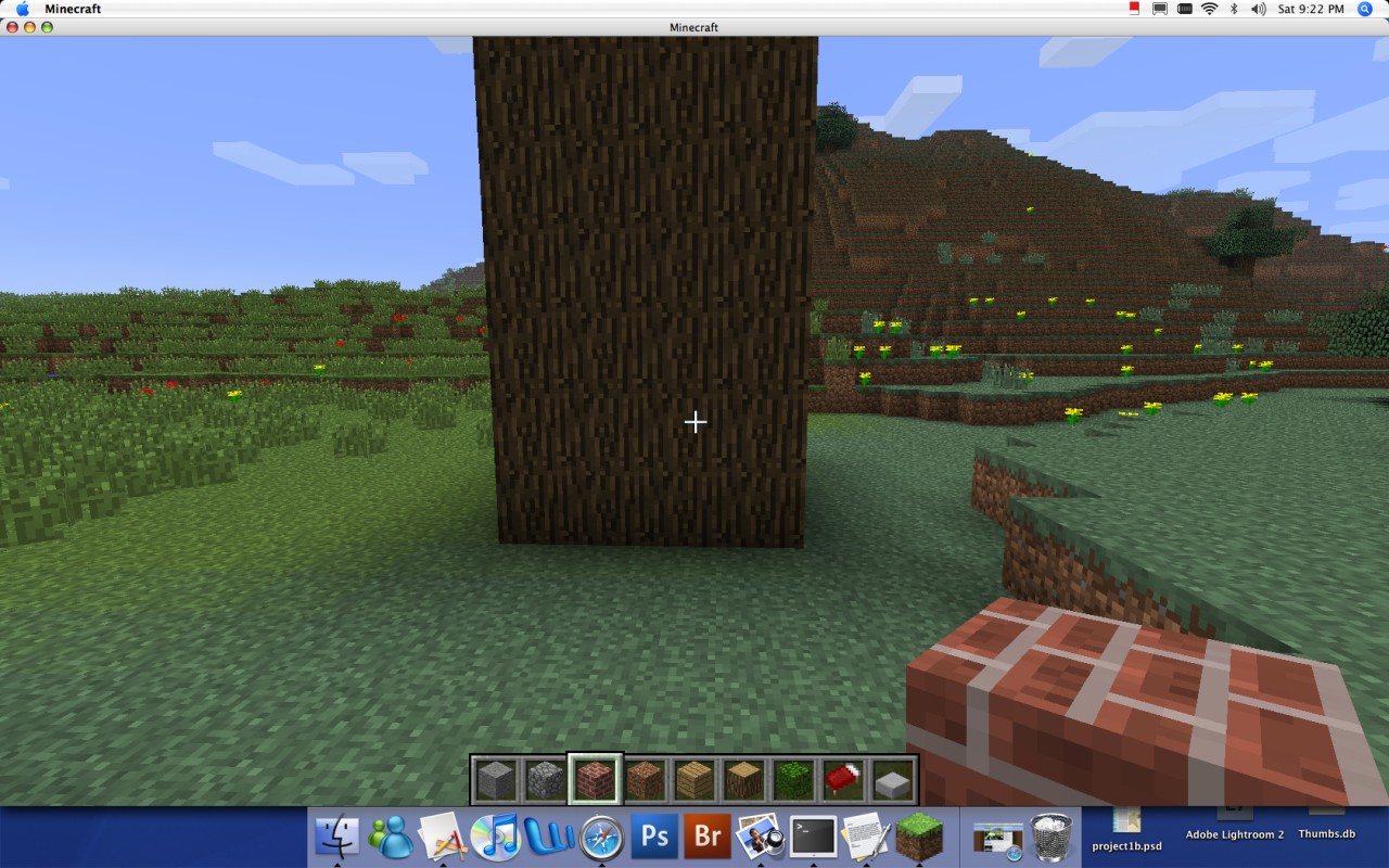 giant tree Minecraft Map