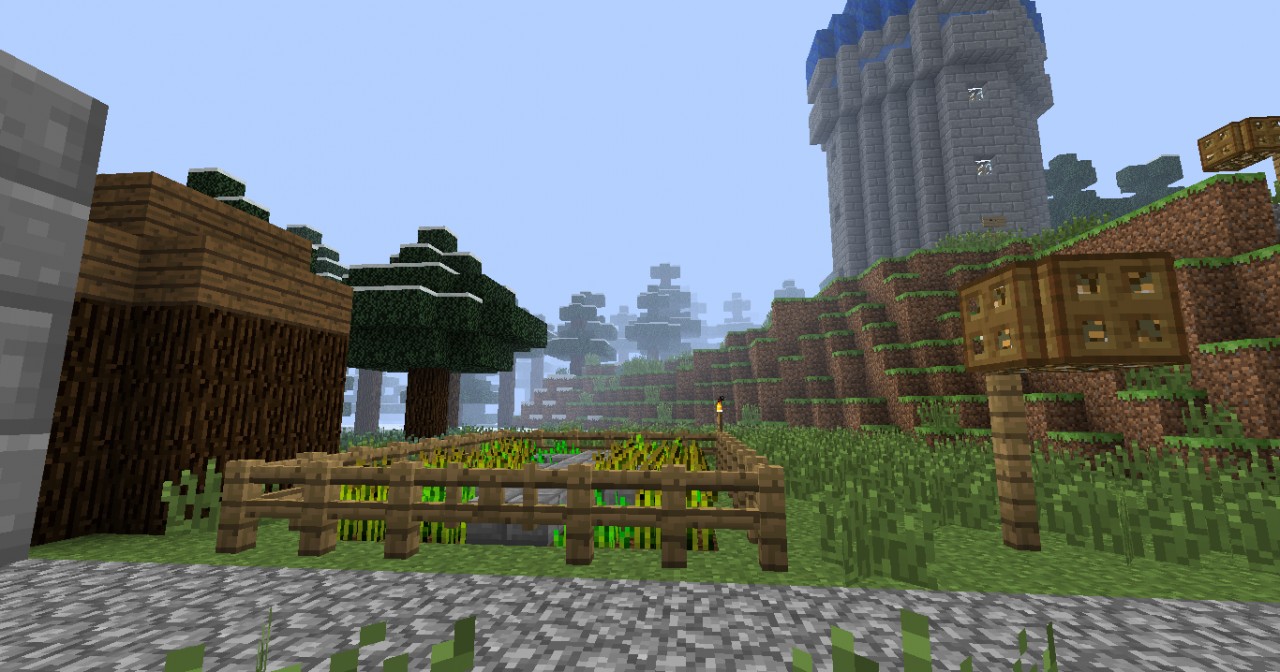 The Village Minecraft Map