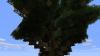 Big Tree Island Minecraft Map
