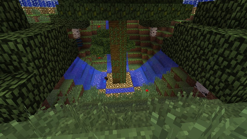Wood in water Minecraft Map