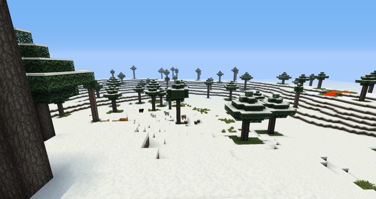 Winter Taiga Biome(Mini) Minecraft Map