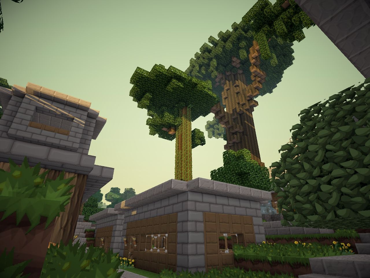 Imagination craft! Minecraft Server