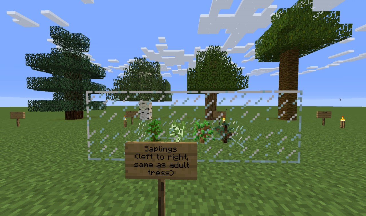 Texture showcase Minecraft Map