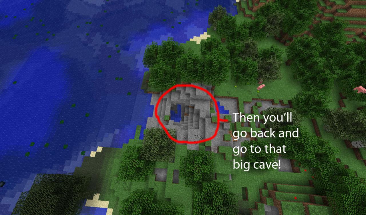 Seed: Mega Cave Systems (Remember to look at pictures!) Minecraft Map