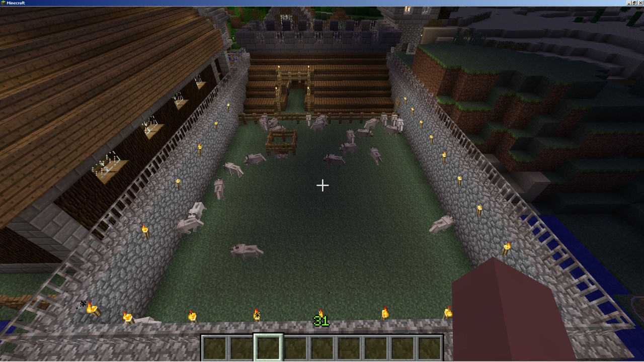 wolf fighting arena Minecraft Map