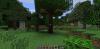 big tree Minecraft Map