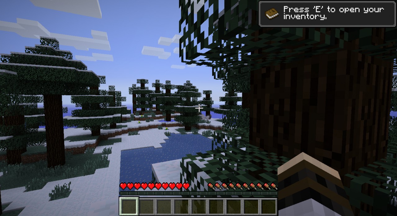 How to Survive the first night in minecraft