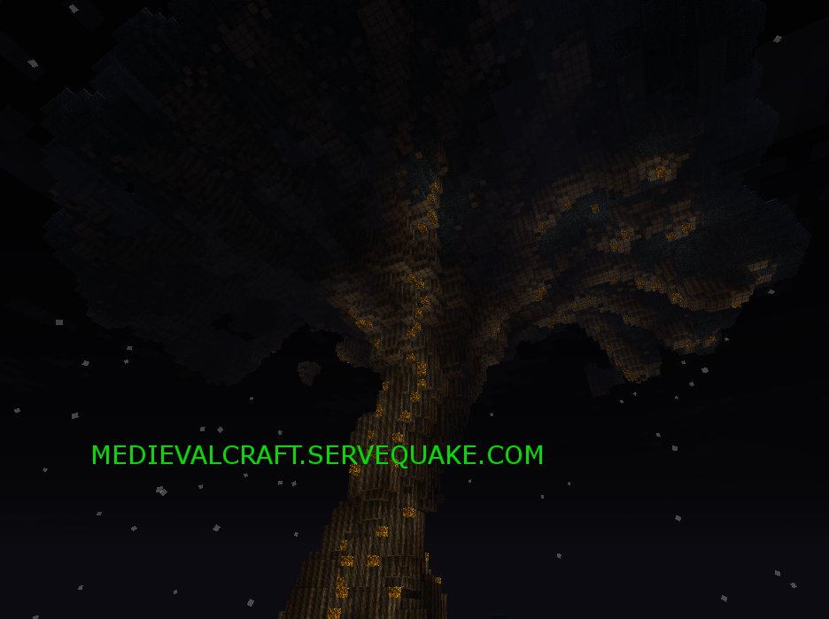 Mcmedieval|rp|factions|towns|mcmmo|1.2.5|whitelist|W.I.P| Minecraft Server