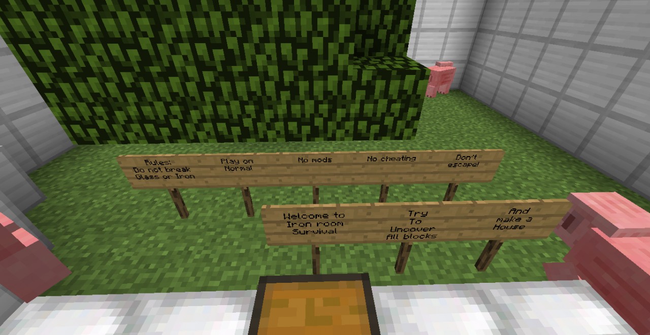 Iron Room Survival Minecraft Map